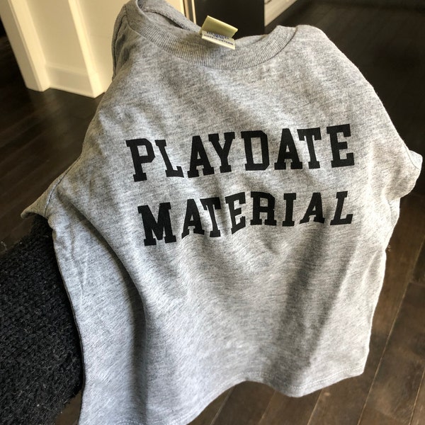 THE ORIGINAL Playdate Material by Lenox James | Toddler Shirt Graphic T ...