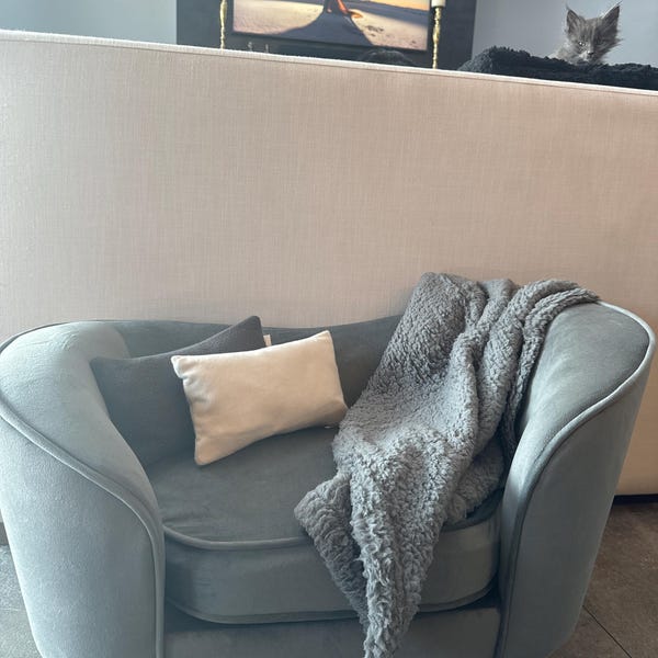 Nido Cat Bed Covers - Etsy