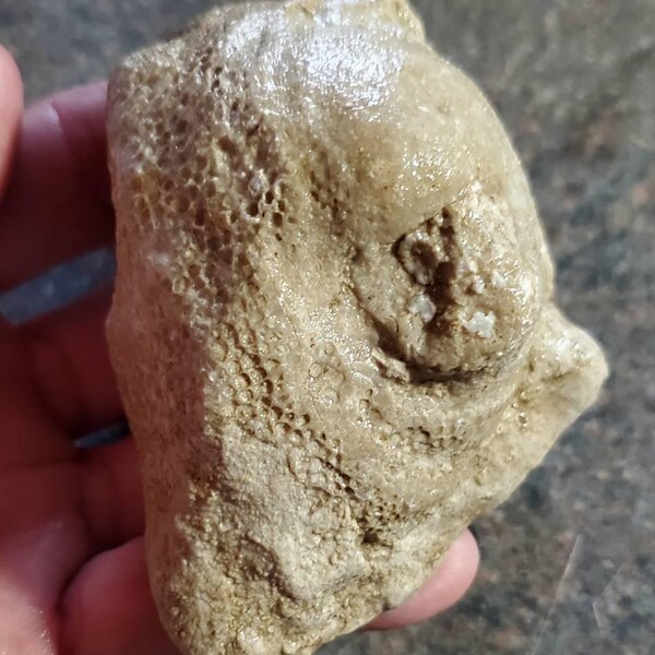 Ohio Rainbow Flint With Quartz Geodes Rough - Etsy