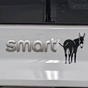 EAT BRAY LOVE Donkey Burro Vinyl Decal Sticker - Etsy