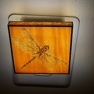 Dragonfly Night-light, Wall Art, Bug, Insect Lamp - Etsy