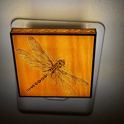 Dragonfly Night-light, Wall Art, Bug, Insect Lamp - Etsy