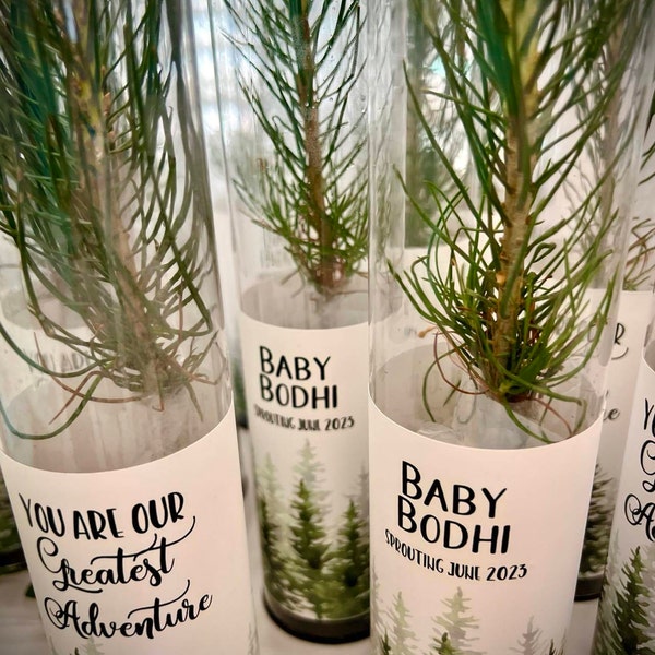 Baby Shower Tree Favor | Favors for Baby Shower | Gift Trees | Baby ...
