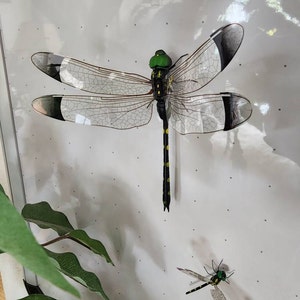 Ladybug, Bug Magnet, Small Size Handmade Clay Magnet Insect Figurine ...