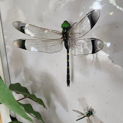 Ladybug, Bug Magnet, Small Size Handmade Clay Magnet Insect Figurine ...