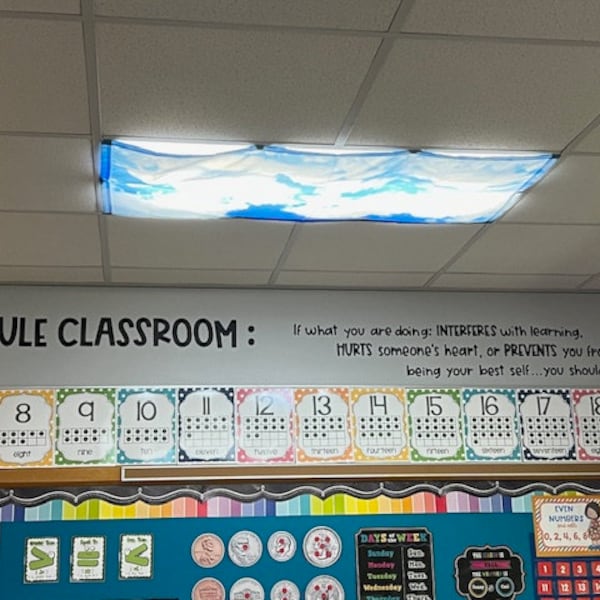 One Rule Classroom Wall Vinyl Decal, Classroom Door, Be Your Best Decal ...