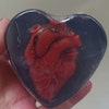 Soap That Bleeds Bleeding Soap Horror - Etsy