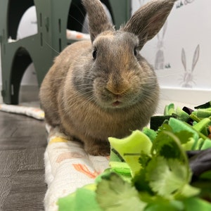Bunny Rabbit Snuffle Mat, Foraging Blanket, Stimulation Treat Toy ...