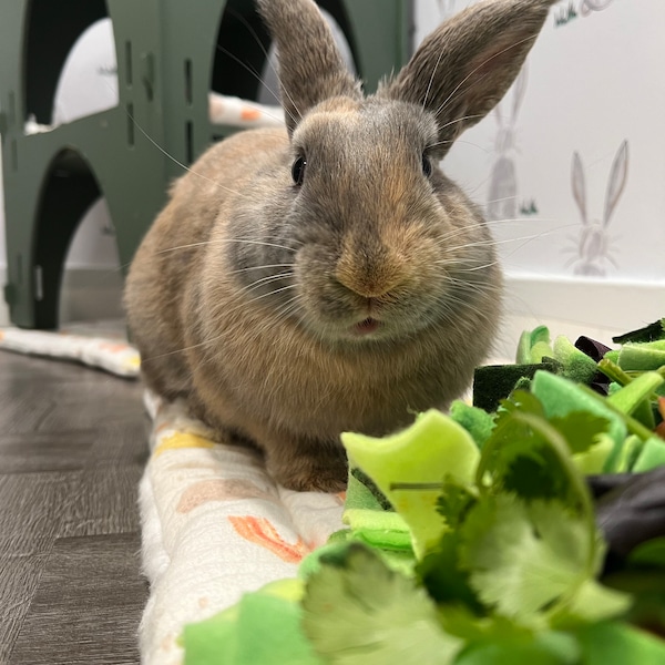 Bunny Rabbit Snuffle Mat: Foraging Enrichment Toy - Etsy