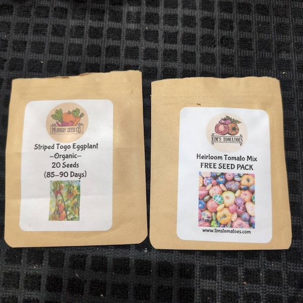 Striped Togo Eggplant Seeds | Heirloom | Organic - Etsy