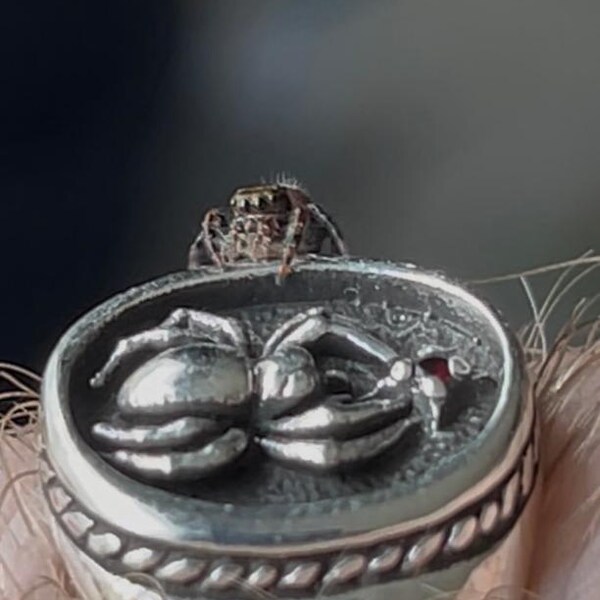 Spider Signet Ring: 925 Sterling Silver, Red CZ Stone - Etsy