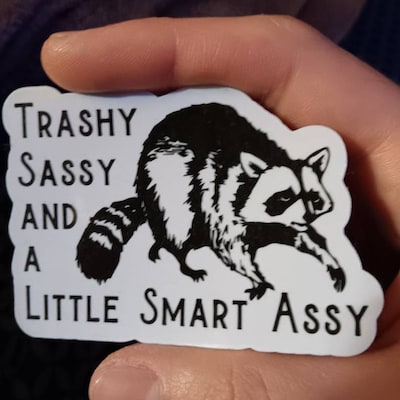 Trash Sassy Panda Raccoon Sticker, Raccoon Decal - Etsy