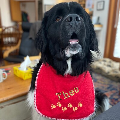 Dog Bibs for Drool Dog Bib Newfie Drool Bibs Dog Slobber - Etsy