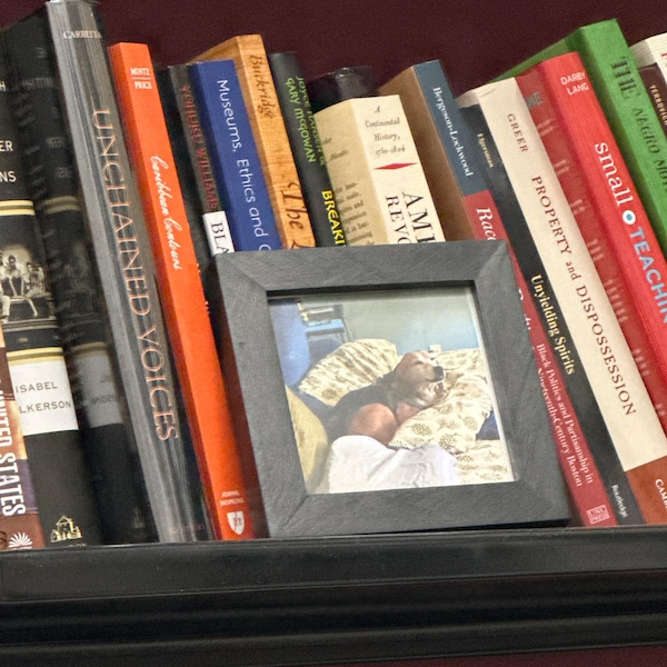 8x10 Custom Cut Single Matboard for 8x10 Frame, Picture Frame Mat ...