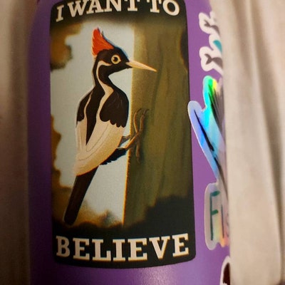 Bug Cats Cute Summer Critters Spring Nature Quirky Waterproof Vinyl ...