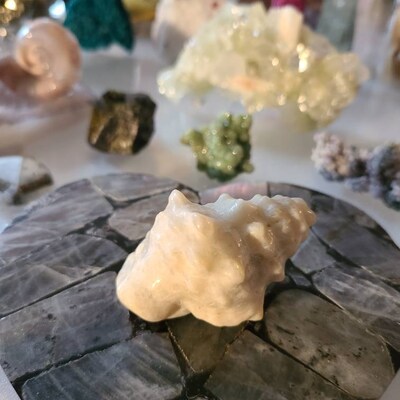 Plastic Crystal Heart/ Carvings Sphere Stands - Etsy