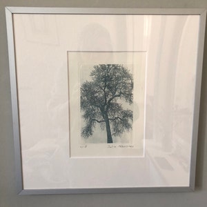 Oak Tree, Etching and Aquatint - Etsy