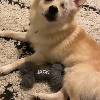 Dog Toy. Personalized Pet Toy With Embroidered Name. Durable Dog Toys ...