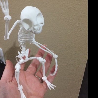 Chupacabra in a Can 3D Print Taxidermy Poseable Figure - Etsy