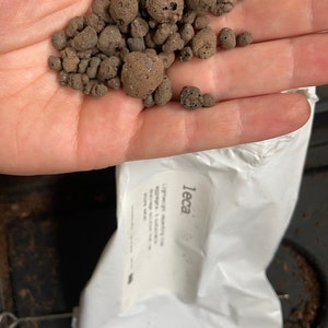 Terrarium Substrate Kit Pack Leca Charcoal and Soil Stone | Etsy