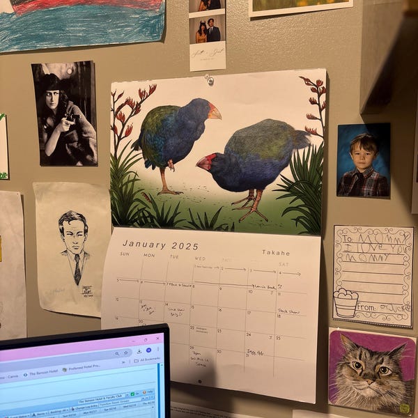 A3 Illustrated New Zealand Ruru Owl (morepork) Print - Etsy