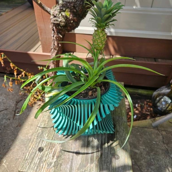 A “ANIO” 3D Custom Printed Wacky Planter Pot | Modern Home Office Decor ...