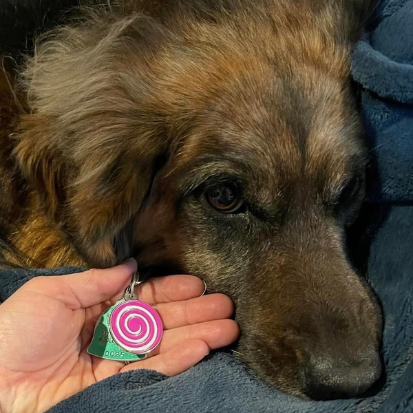 Round Dog ID Tag, Hypnosis Pet Tag Personalized, Custom Dog Tags for ...