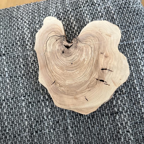 DIY Olive Wood Cutting Blocks, Olive Wood Blanks, Olive Wood Chunks ...