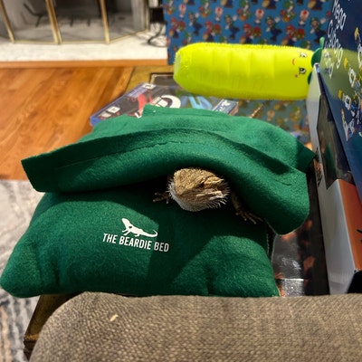 Mouse Hanging Hammock for Small Animals Cage Hammock for Multiple Mice ...