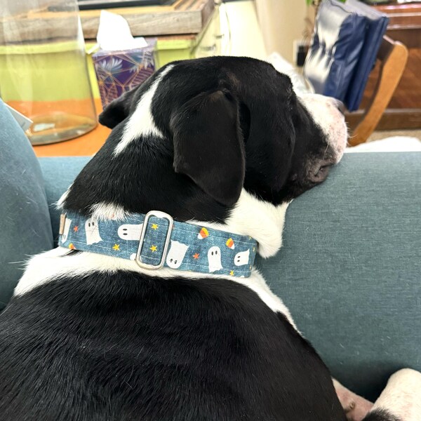 Orange and White Checkered Dog Collar, Martingale or Flat Collar, Dog ...