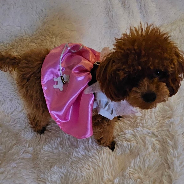 DOG BIKINI, Dog Barbie Bikini, Dog Pink Lace Bikini, Dog Swim Wear ...