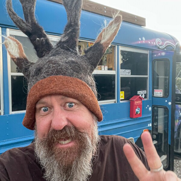 Donkey Hat | Felted Donkey Costume Hat | Donkey Cosplay | Hand Felted ...