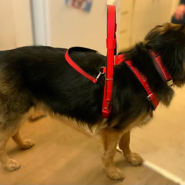 Cape Tab Custom Attaches to Dog Harness - Etsy