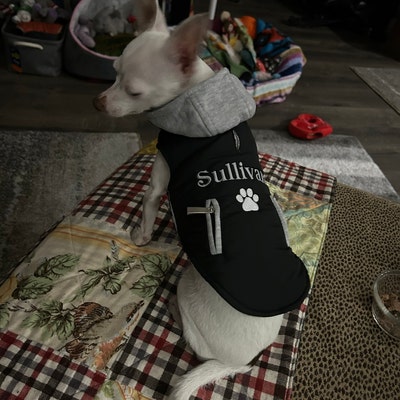 Best Friends Dog and Baby Set Baby and Dog Matching Outfit - Etsy Canada