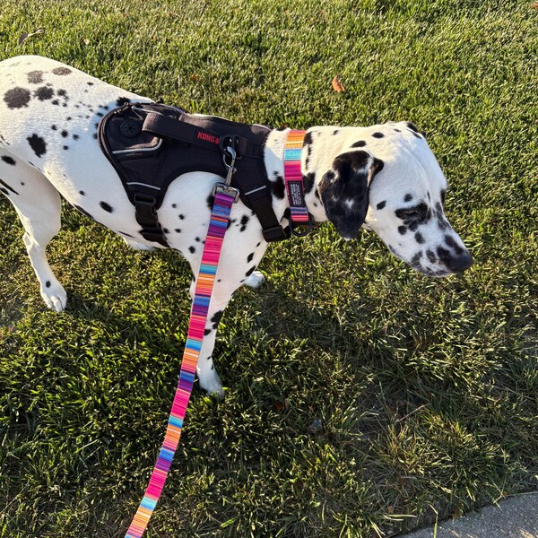 Treeline Dog Collar - Trees | Forest | Nature | Outdoors - Etsy