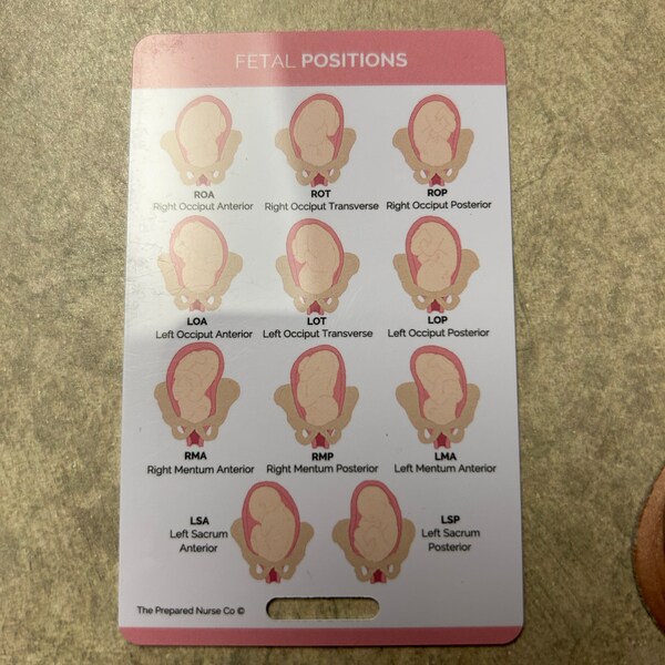 Oxygen Delivery, Nurse Reference Card, Student Nurse Badge Card, Oxygen ...