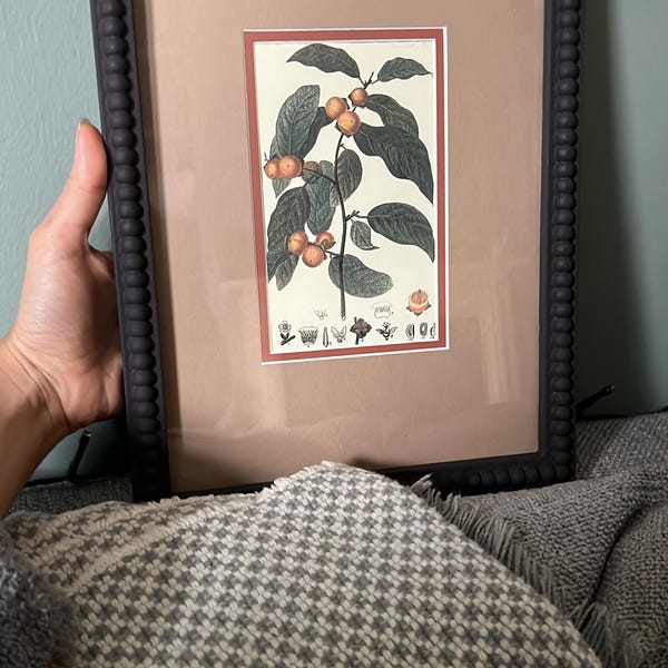 Bespoke Made to Measure Bevel Cut Photo/picture Mounts With BACKING ...