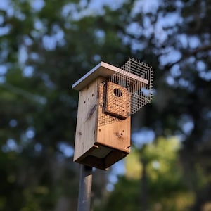 Birdhouse Predator Guard Leonard Style - Etsy