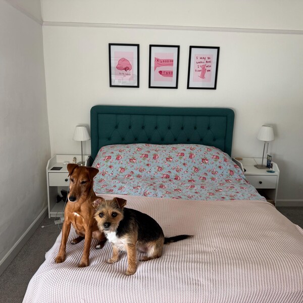 Must Rub Belly for Good Luck, Instant Download, Vibrant, Fun and Quirky ...