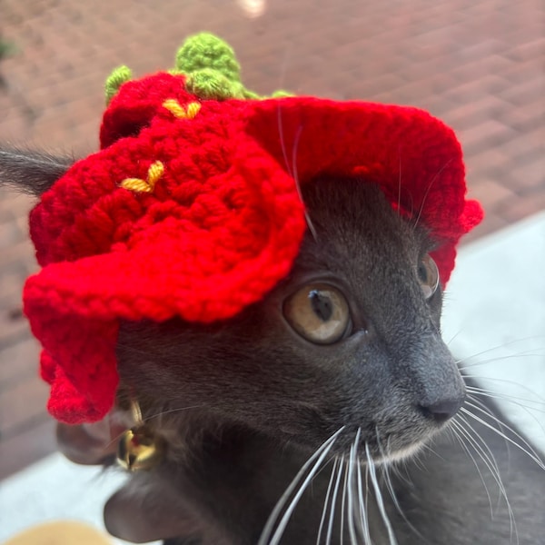 Cat Collar | Crochet | Knitted | Letterbox Gift | Handmade | Cat Lady ...