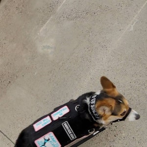 1 Patch, IGNORE ME, 8 Inches X 3 Inches, Sew On, Customizable, Custom ...