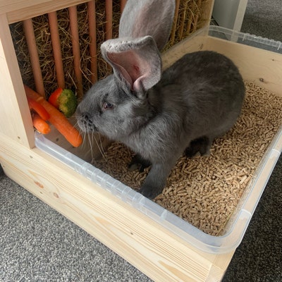 Rabbit Hay Feeder 3 in 1 Hay & Food Bowls With Litter Tray - Etsy UK
