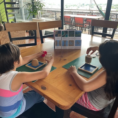 Montessori Style Simple and Advanced Sentence Analysis Printable - Etsy