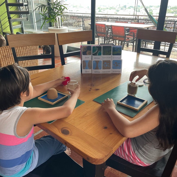 Parts of the Food Chain 3-part Cards and Posters - Etsy