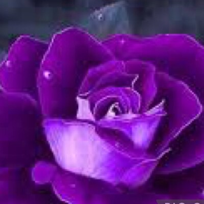 Ultimate Custom White Magic Spell Casting - Etsy