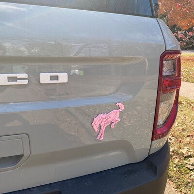 Ford Bronco skeleton Emblem and Badge / Calling All Bronco and Bronco ...