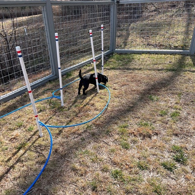 Dog Agility Equipment Construction Instruction Booklet - Etsy