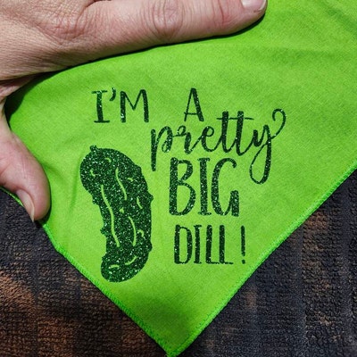 Ball-less & Flawless Dog Bandana, Funny Dog Bandana, Neuter Bandana ...