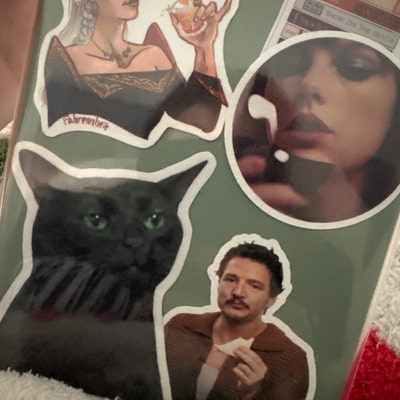 Pedro Pascal Sandwich Meme Sticker Pedro Pascal Vinyl Decal for Laptop ...