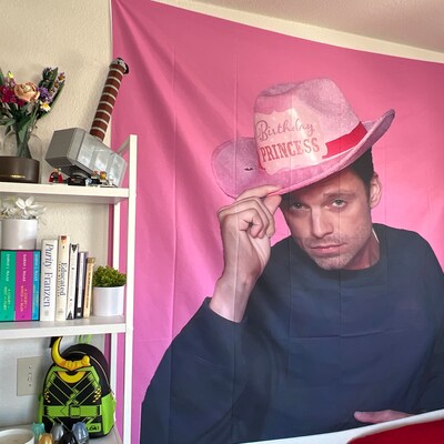 Chris Bumstead CBUM GYM Motivation Tapestries, Chris Bumstead Wall ...